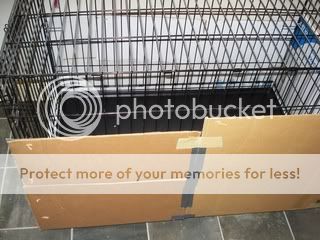 show me your dog crate baby brooders | Page 4 | BackYard Chickens ...